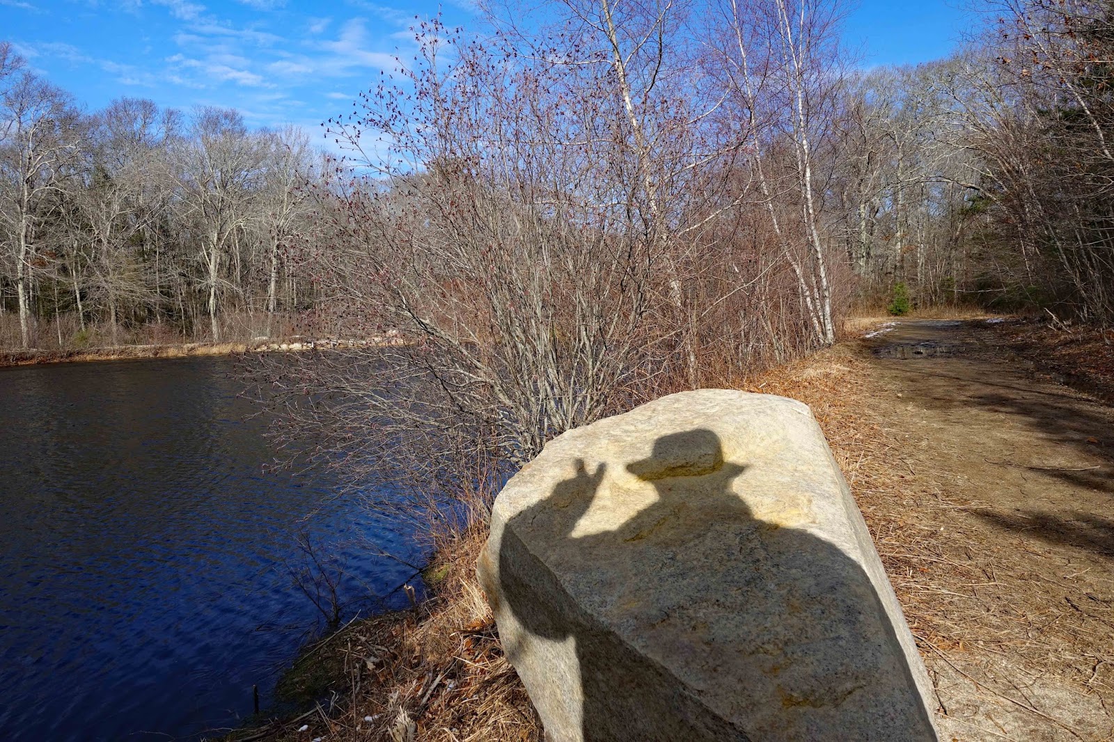 Joe's Retirement Blog: Tidmarsh Wildlife Sanctuary, Mass Audubon ...