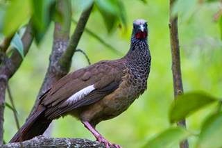 Participativa 101.1 Fm: TRAVESÍA ECOLÓGICA