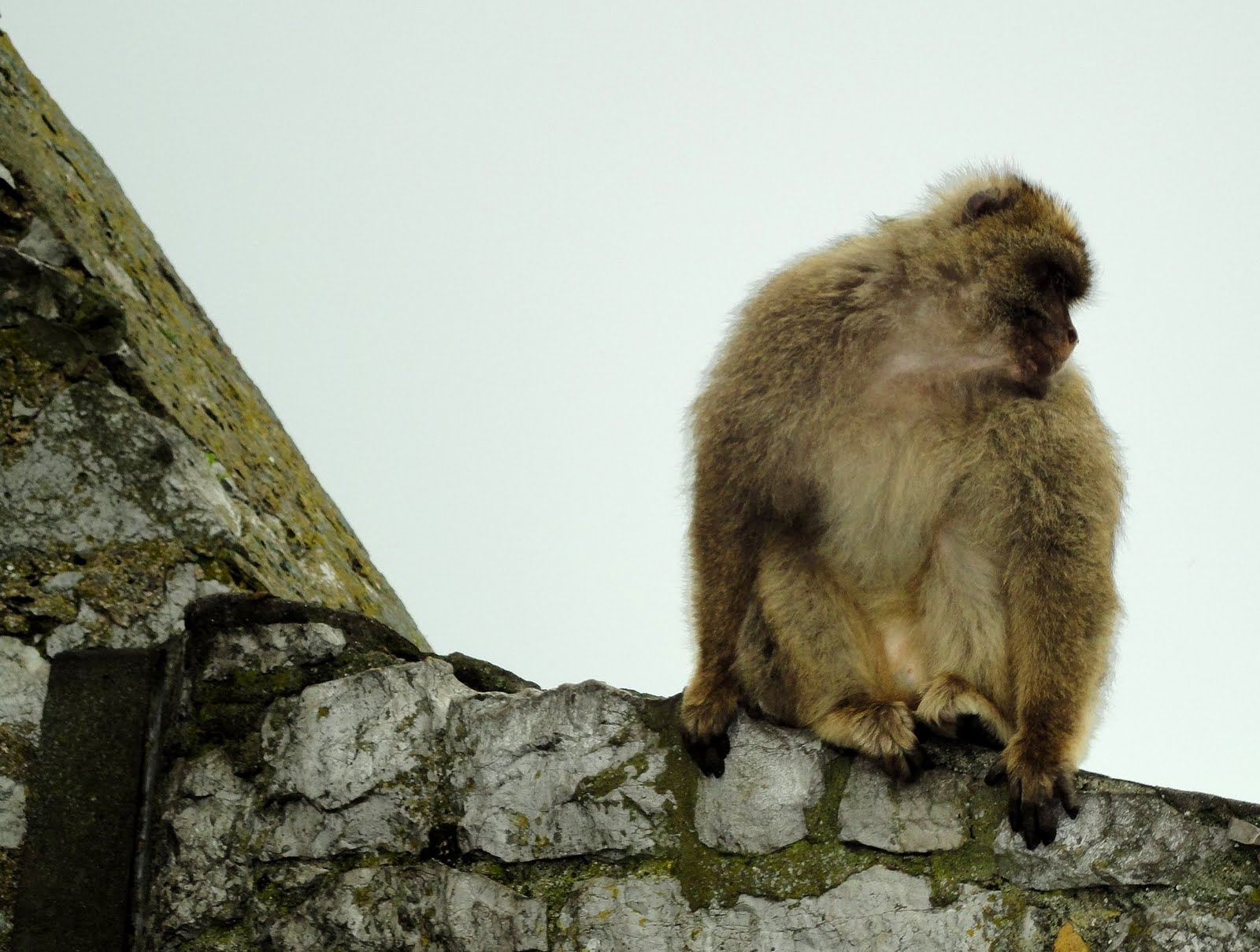 Photo Blog: Gibraltar Tour Photos