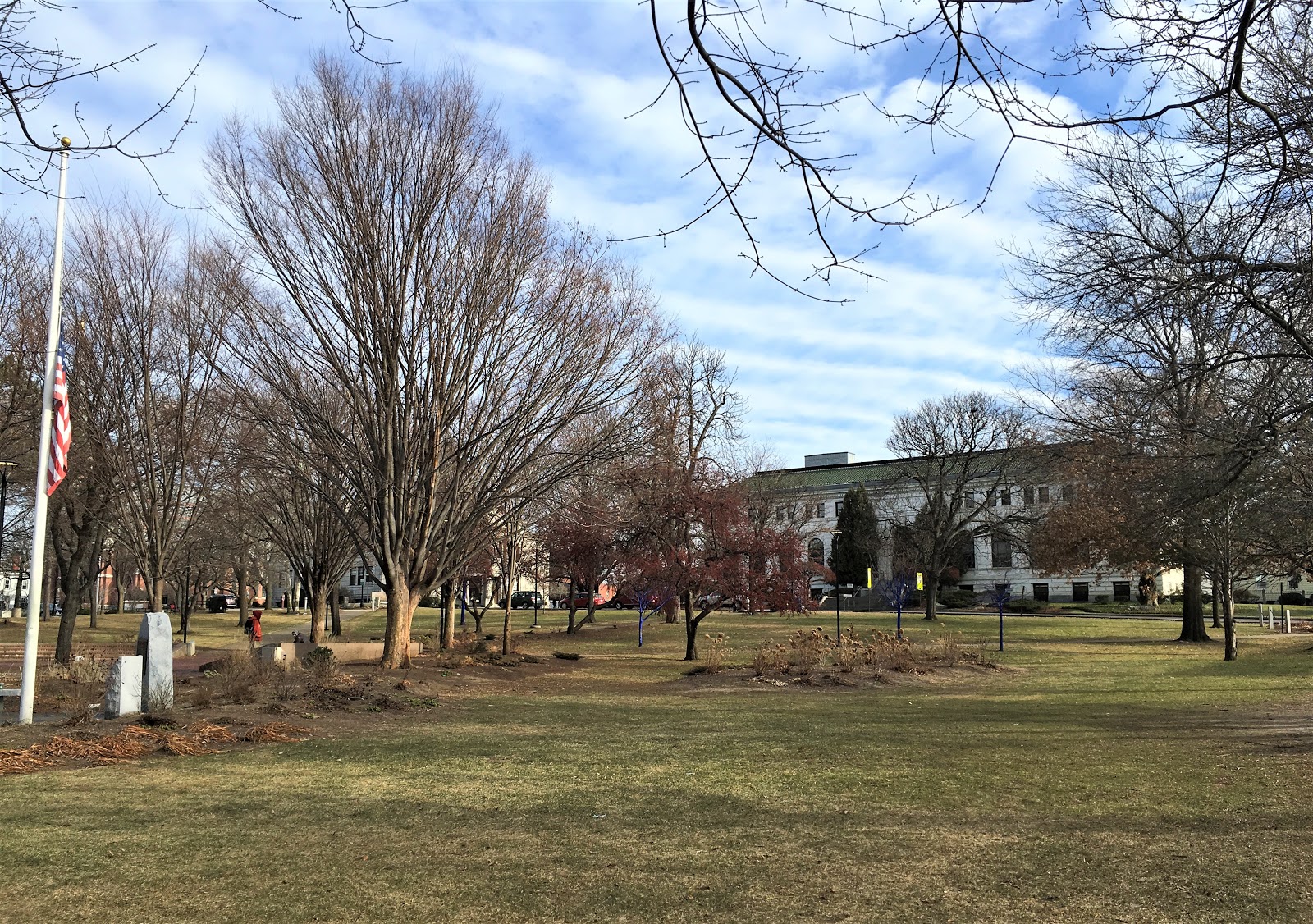 Life From The Roots: Manchester City Library, Manchester, New Hampshire