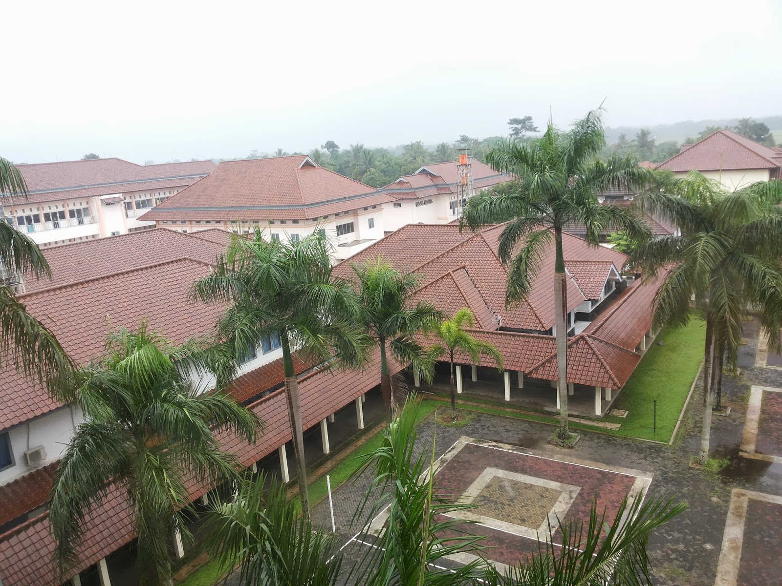 Jasmine: Sekilas Cerita Meraih Kampus Bumi Sanapati