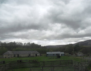 Wilfred In The UK: Wilfred's Great Scottish Adventure: Part II