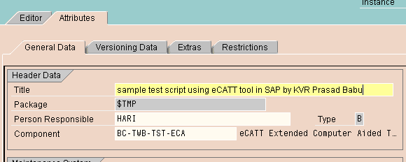 SAP TAO - SAP Expert Consultancy and Intelligent IT Services: What is ...