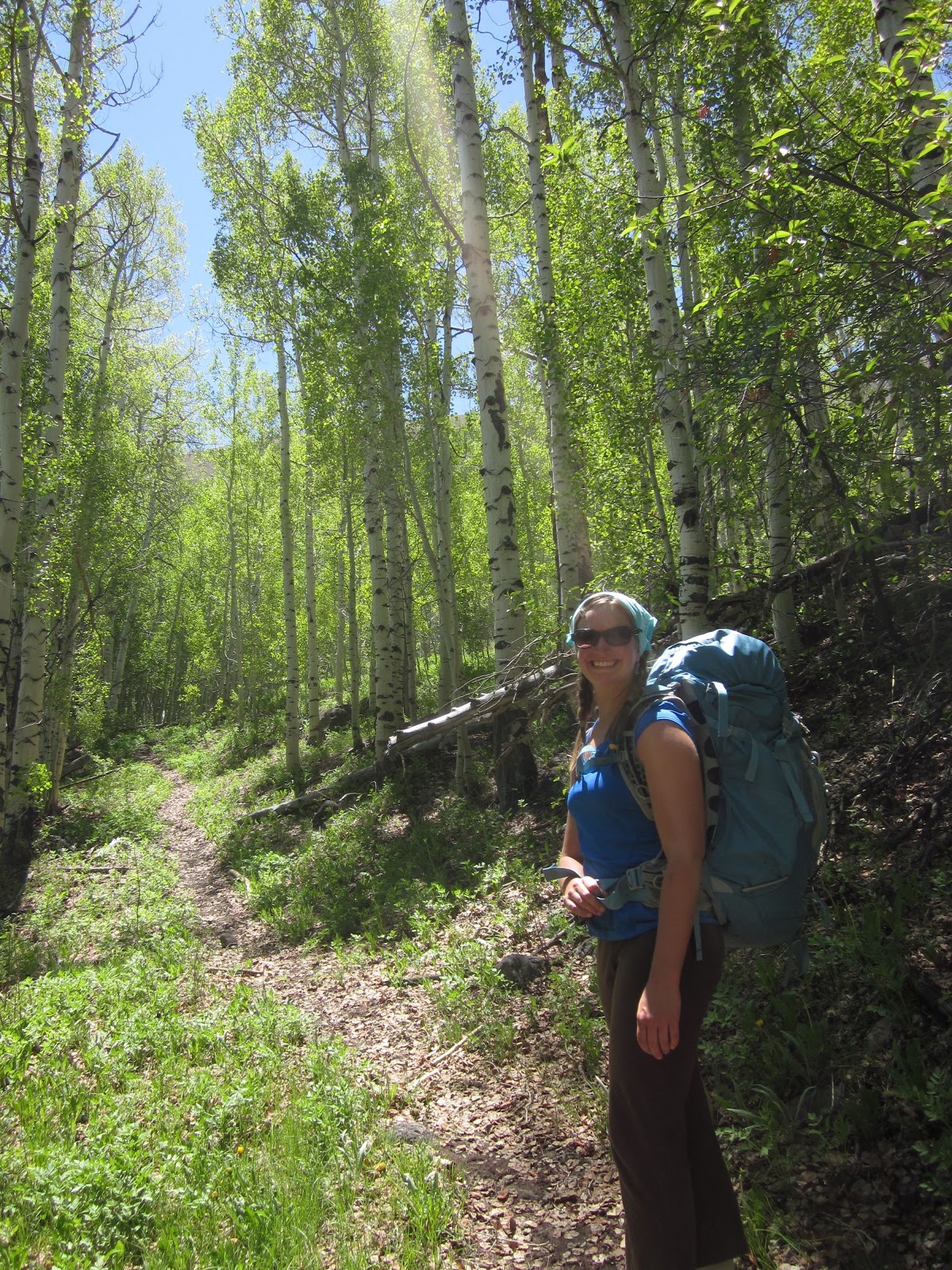 Scootchin' Sand: Alta-Toquima Wilderness