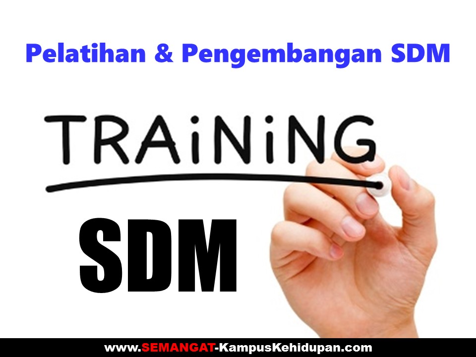 Johanes Budi Walujo: TRAINING SDM PERUSAHAAN