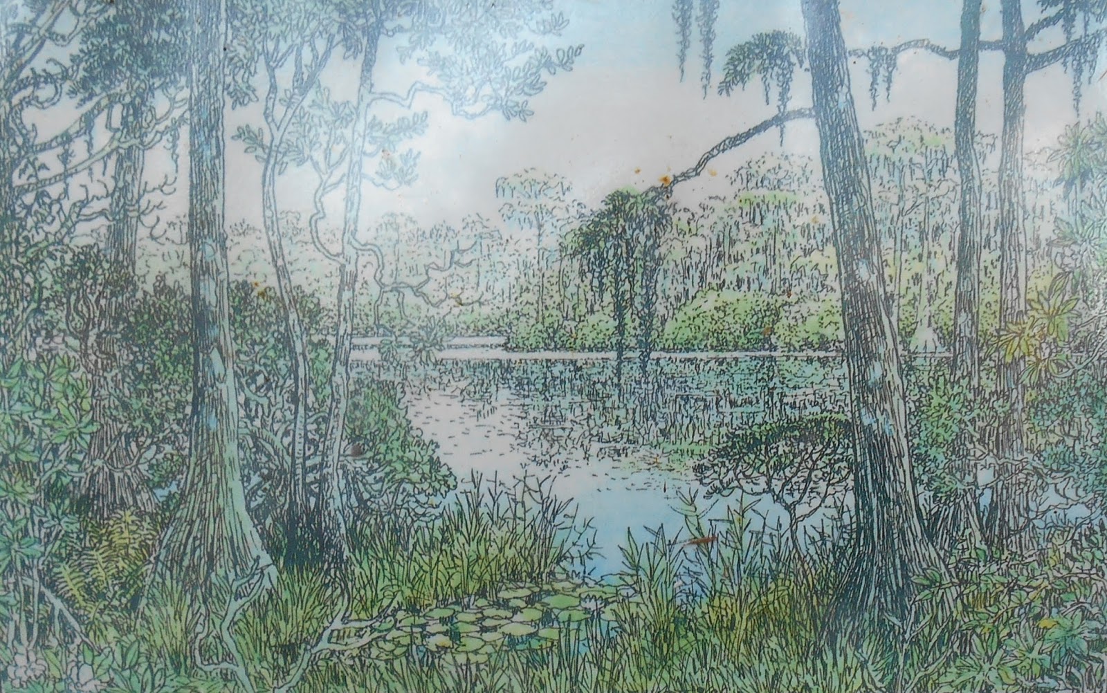 Bob & Sharon'sTravel Adventures: Apalachicola NF - 11/30/15 - Sumatra, FL