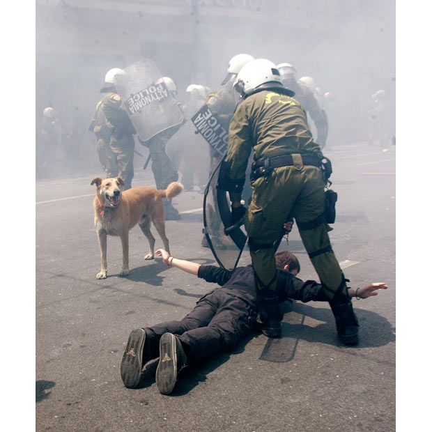 est100 一些攝影(some photos): The Greek riot dog 希臘抗暴犬