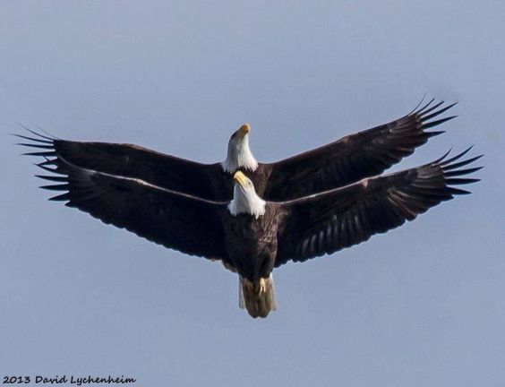 My Thoughts: Rasaali