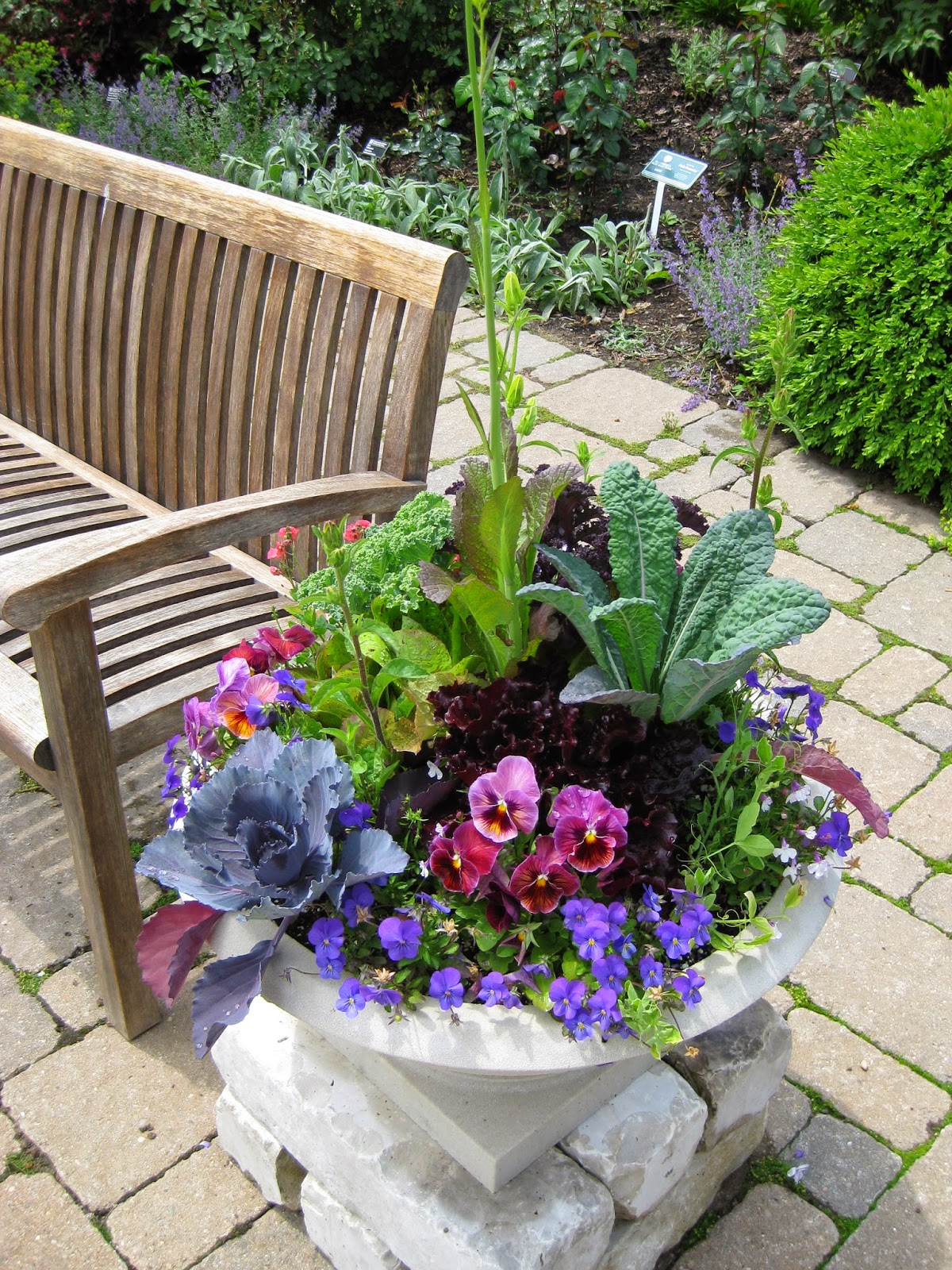 Rotary Botanical Gardens - Hort Blog: Spring Containers