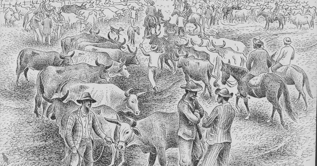 Folhas Avulsas: O CAMINHO DA BOIADA