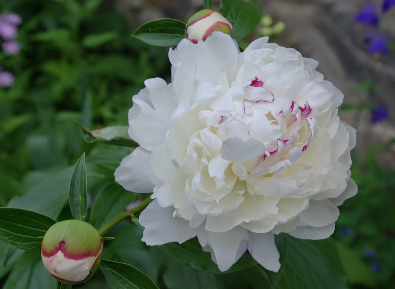 sweetbay: February 2013