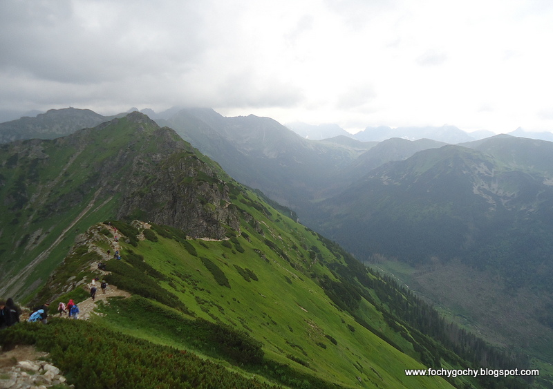 Kulinarne fochy Gochy