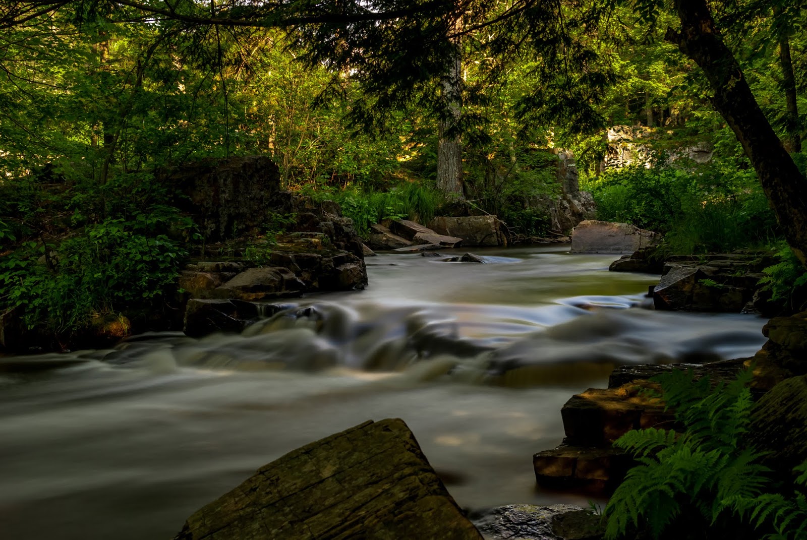 Dells of the Eau Claire