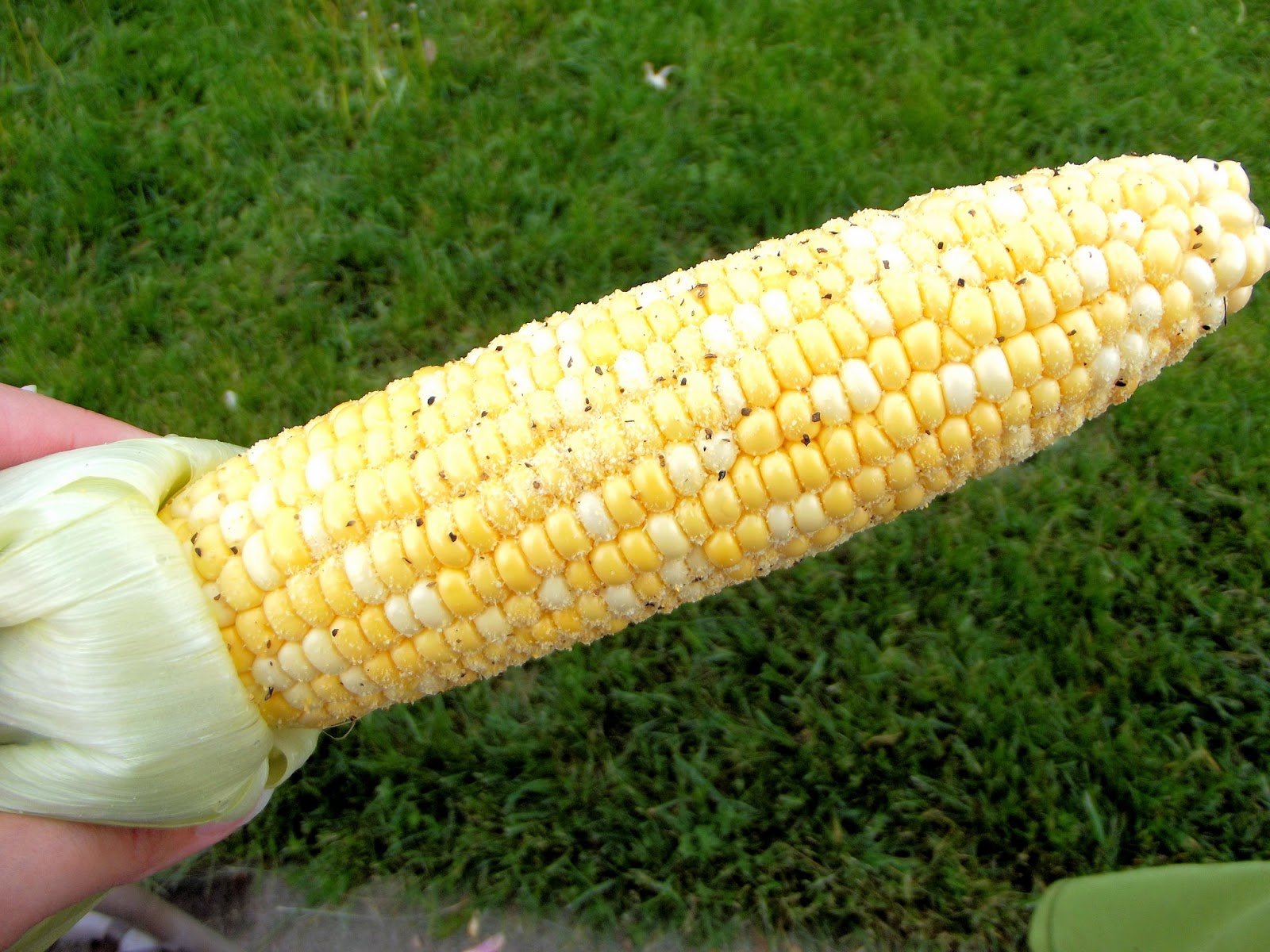 Wild Blumes: Best Corn You've Never Had!