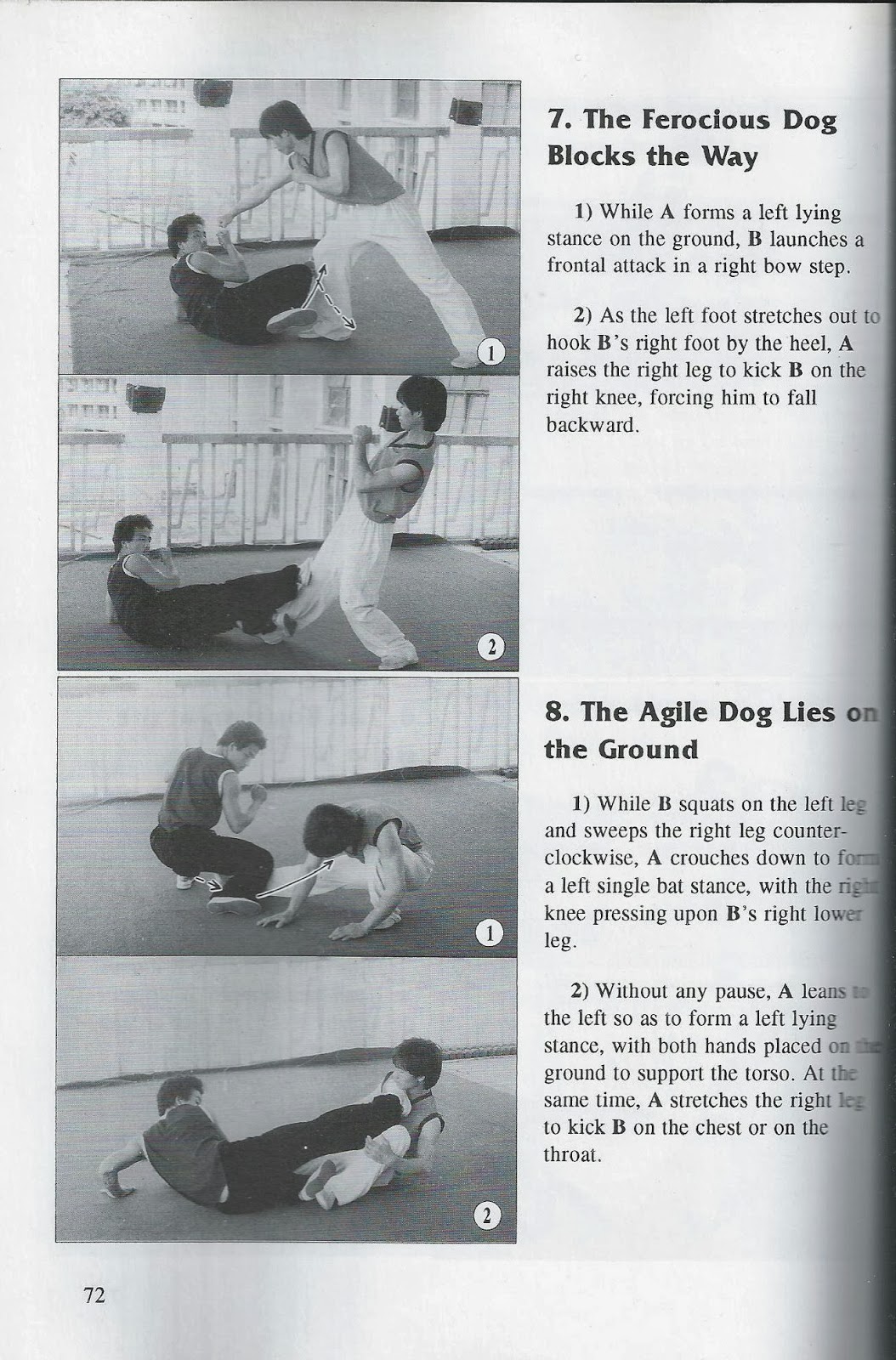 Isshin - Concentration the Art: Several Advanced Lower Body Kicking ...