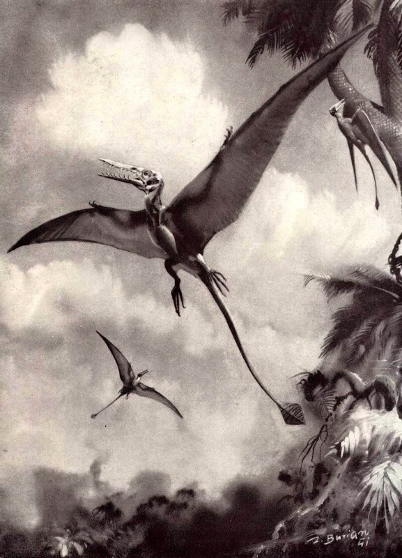 Legenda Ropen - Legenda