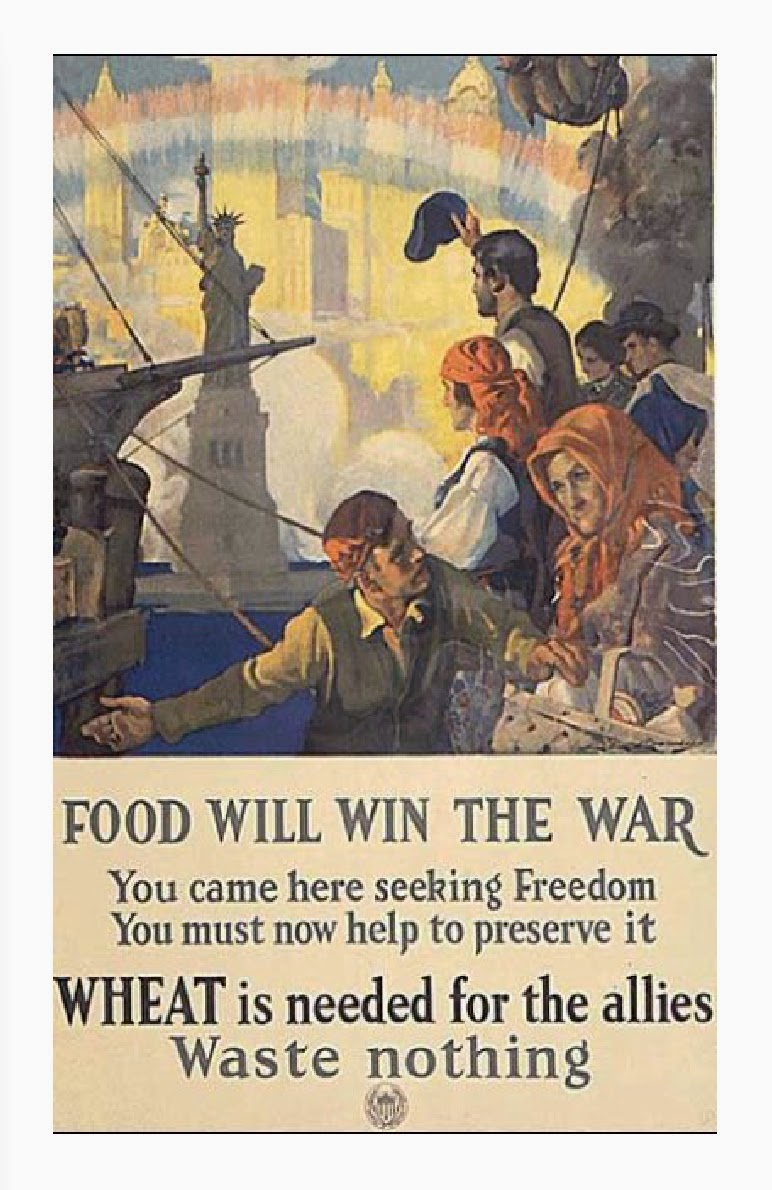 The Crime Writers' Chronicle: Propaganda Posters from The Great War