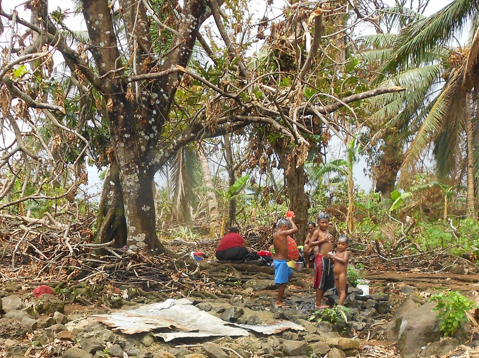 Micronesia Miracles: Romanum (Island of Chuuk) after Typhoon Maysak