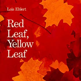 Reading for Childrens Lit: Red Leaf, Yellow Leaf