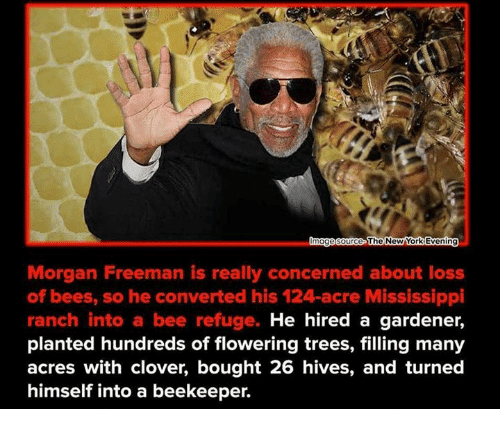 Morgan Freeman Has Converted His 124 Acre Ranch Into A Giant Sanctuary ...