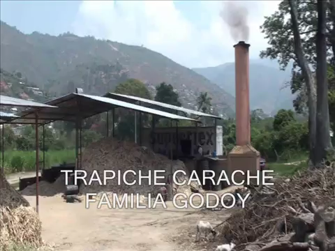 Reseña de los Trapiches, Ingenios y la Caña de Azucar de Carache ...