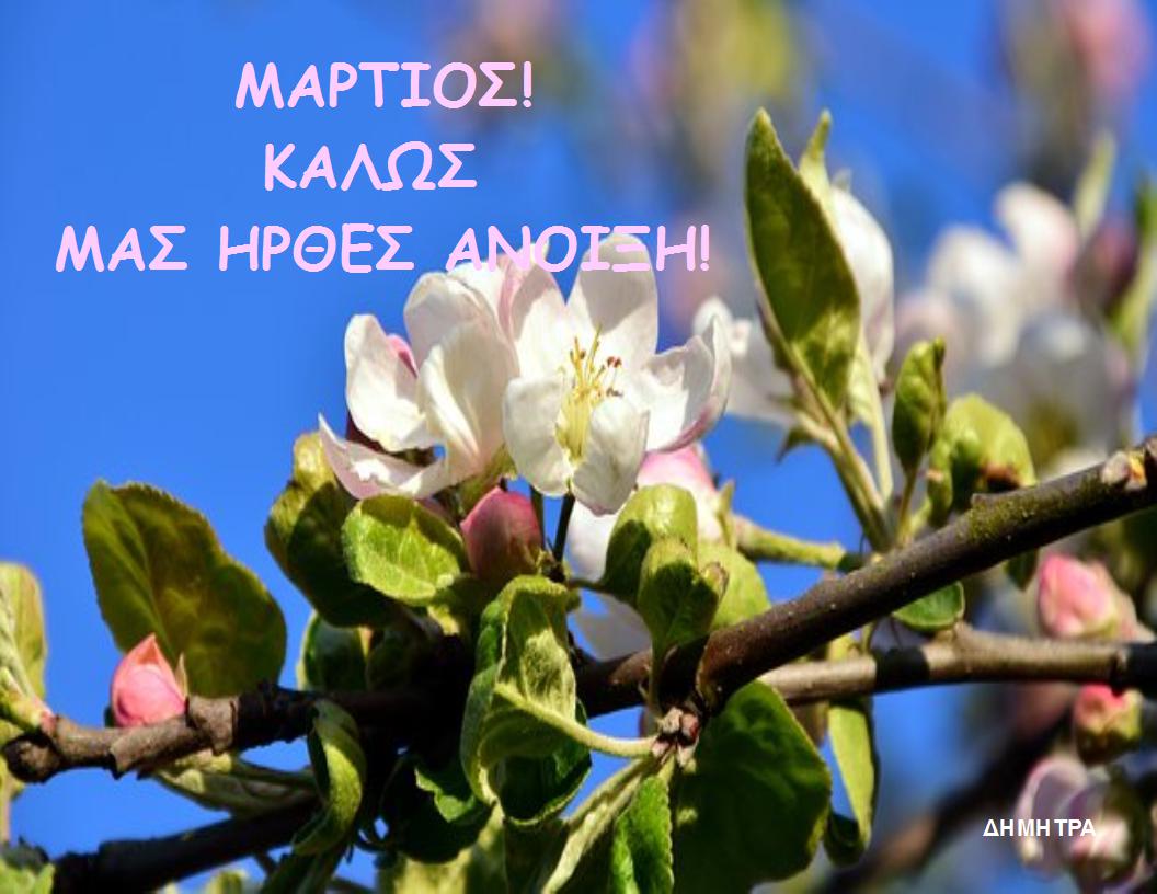 ΣΩΜΑΤΕΙΟ ΛΟΓΟΥ ΚΑΙ ΤΕΧΝΗΣ "ΑΛΚΥΟΝΙΔΕΣ": 2018