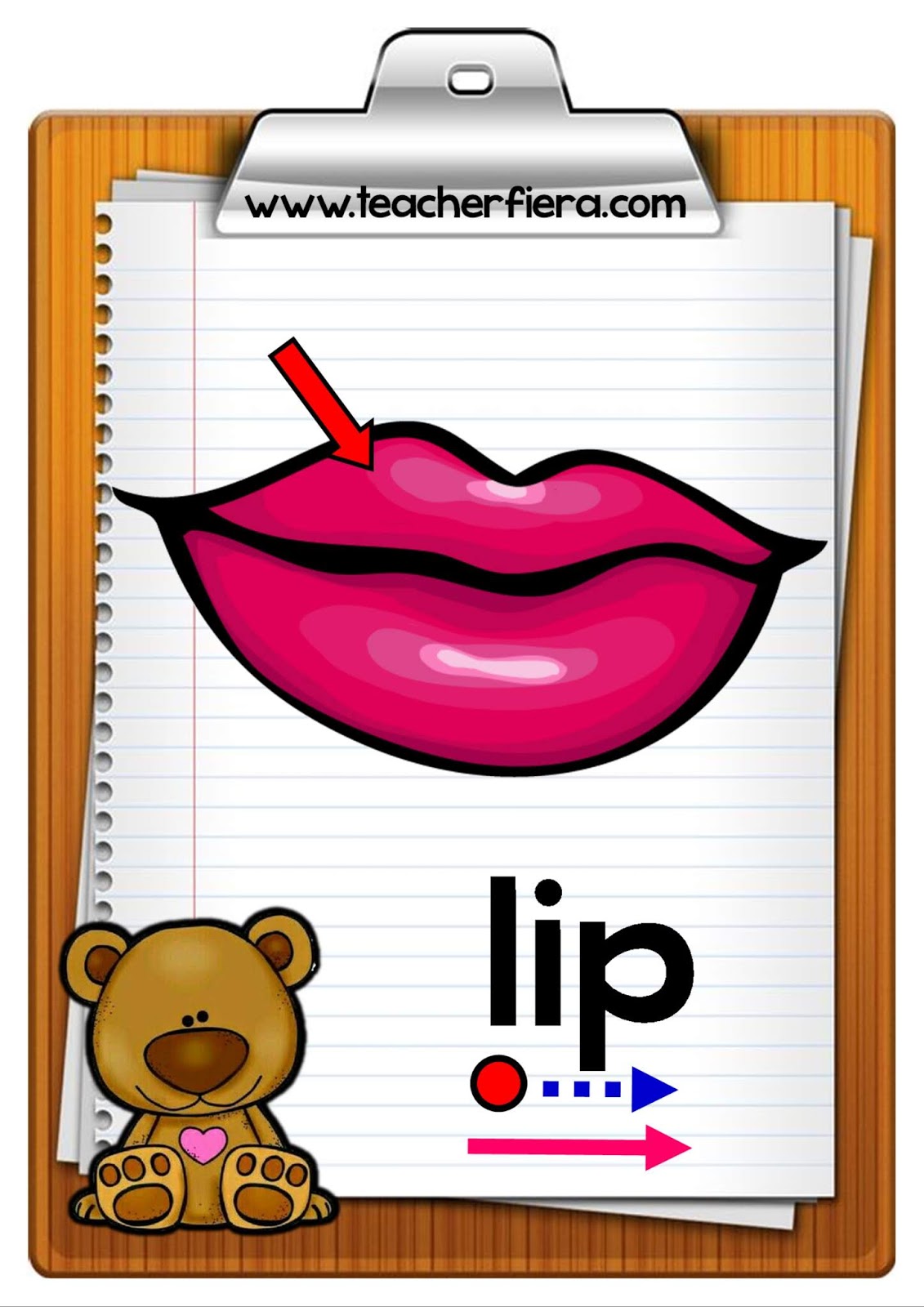 teacherfiera.com: IP WORD FAMILY FLASHCARDS