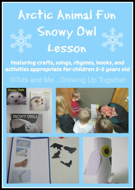 Tots and Me... Growing Up Together: Arctic Animal Fun: Snowy Owl Lesson