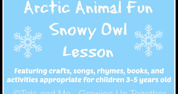 Tots and Me... Growing Up Together: Arctic Animal Fun: Snowy Owl Lesson