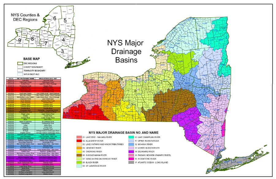 Noticing New York: July 2011