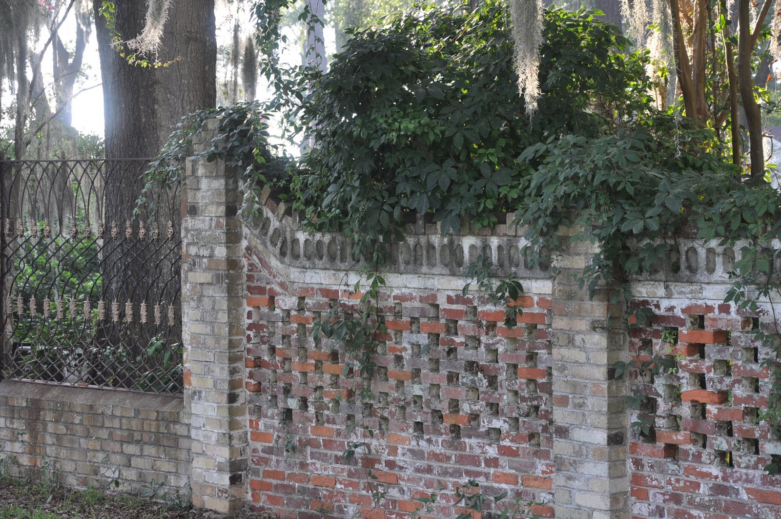 Jane Coslick Cottages : August 2011