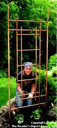 awesome pics: DIY: Copper Trellis project from Reader’s Digest