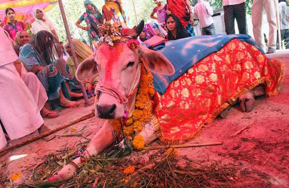The ceremony started with Mr Patwari giving Ganga away before a Sadhu ...