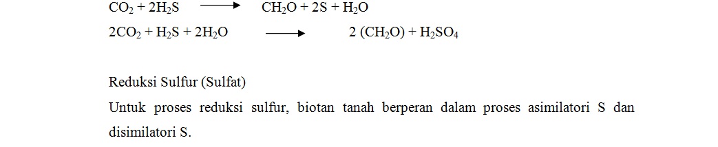 SIKLUS SULFUR (S) Part 1 ~ ARI SETIADI