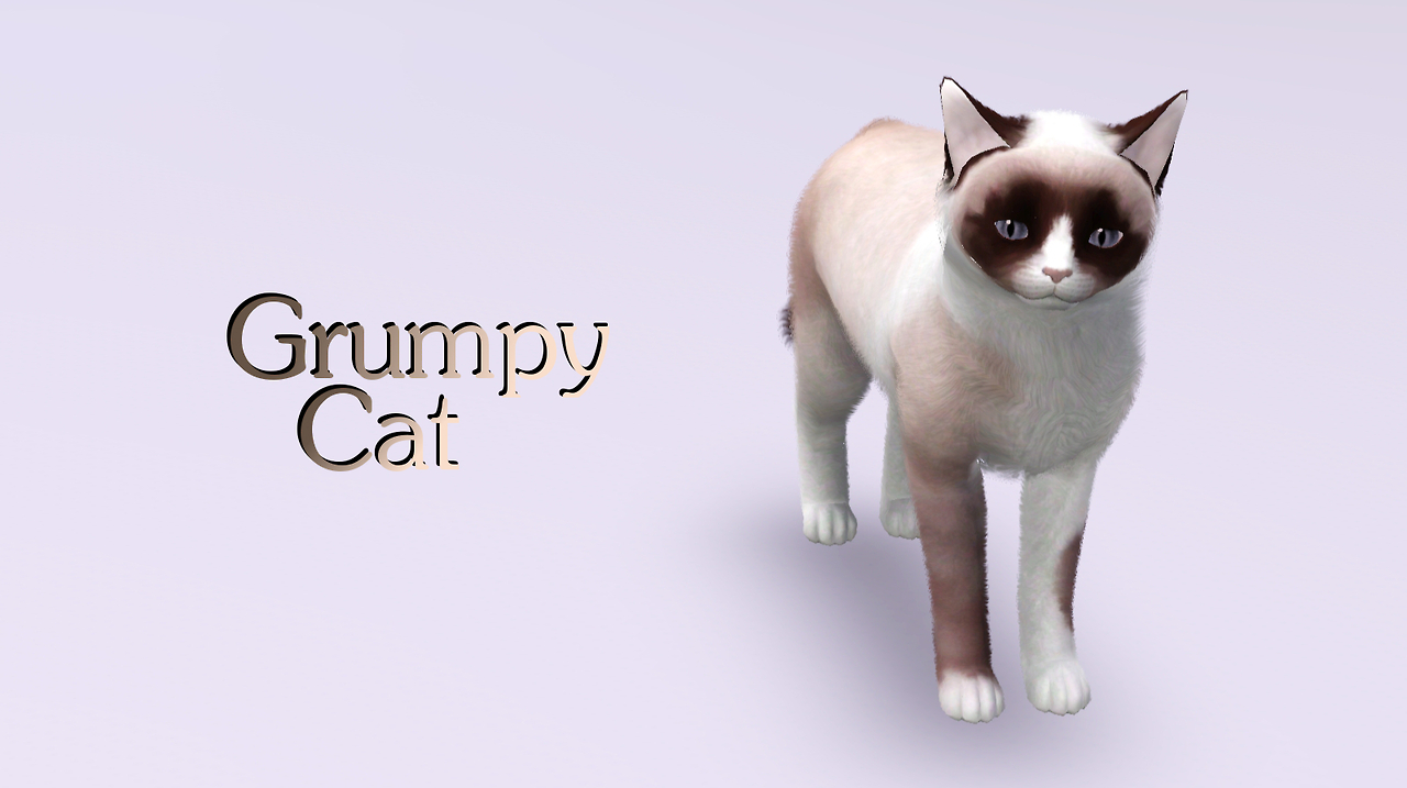 My Sims 3 Blog: New Cats by Catlover800