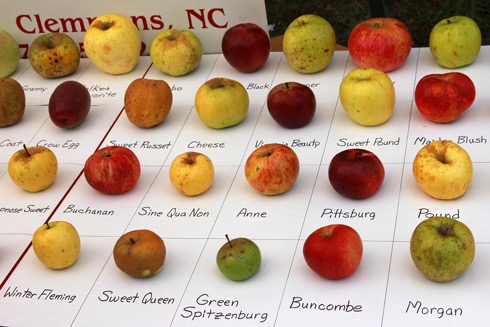 Spectrum: Comfort food...