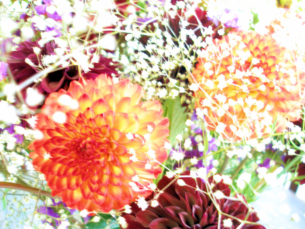 JeweledElegance: New Crochet Pattern: Fire Flower Lace Earrings