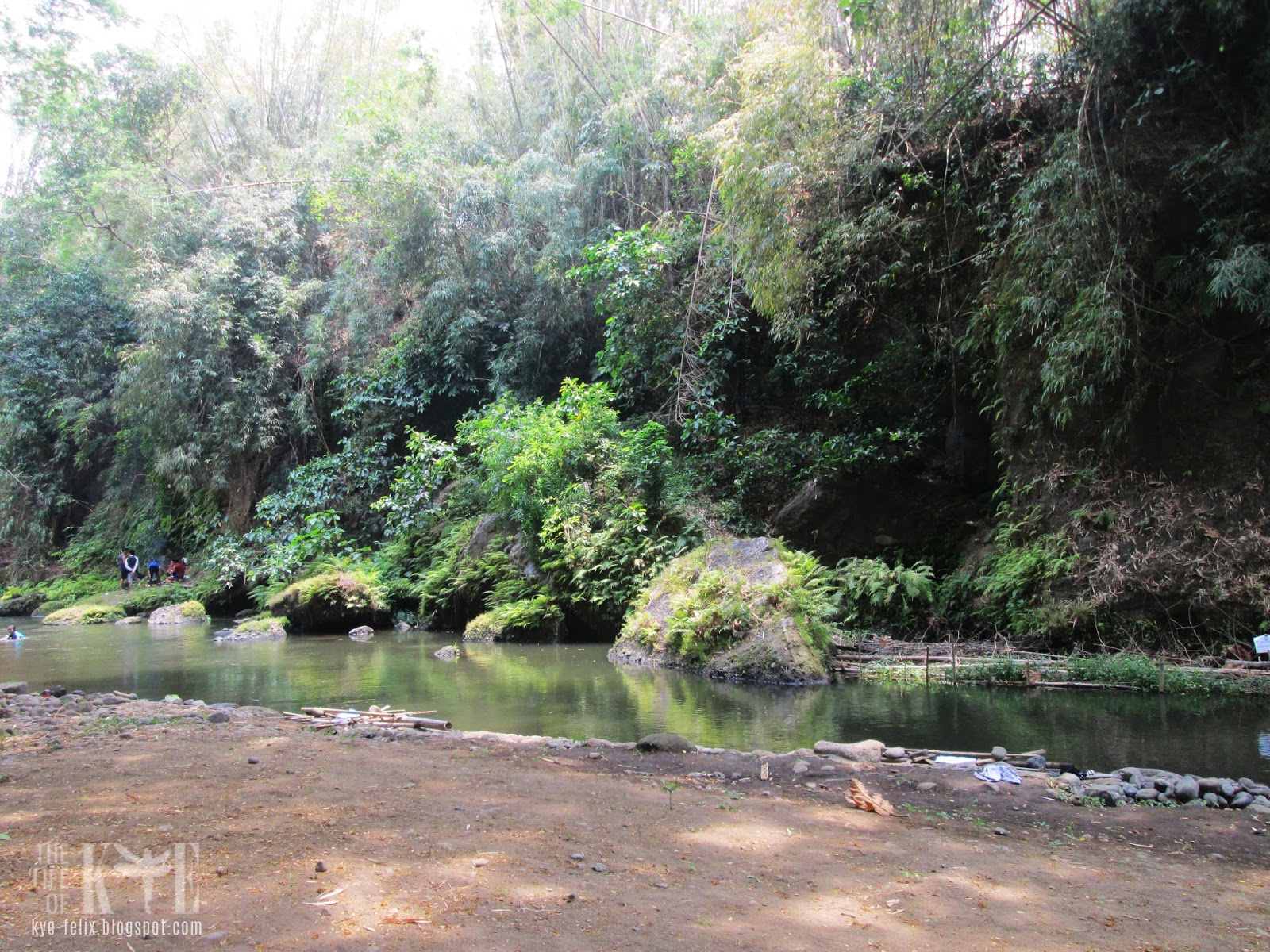 REVIEW | Hardin sa Tabing-Ilog Adventure Camp