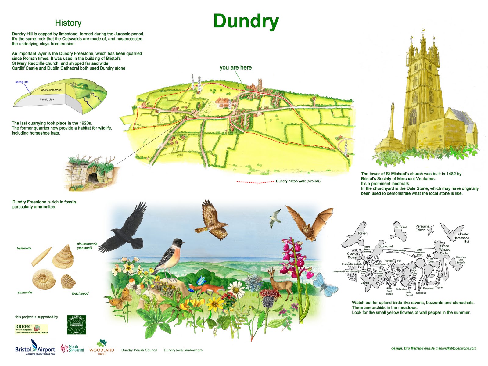 upside down in cloud: Dundry Hill
