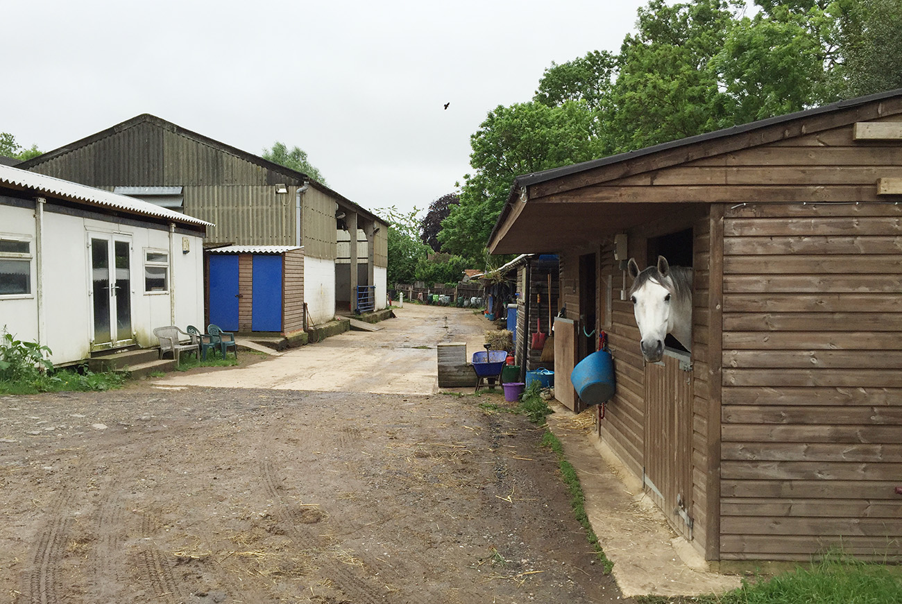 A Walk to Nash | Naturally