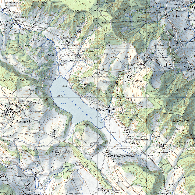 Data Deluge: Swiss Topographic Maps
