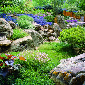 Rock Garden Designs: Rock Garden Designs, Simple but Elegant
