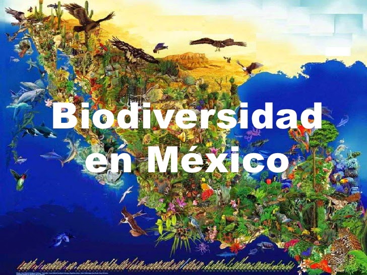 "LA BIODIVERSIDAD EN MÉXICO Y EL MUNDO": Los países Megadiversos.