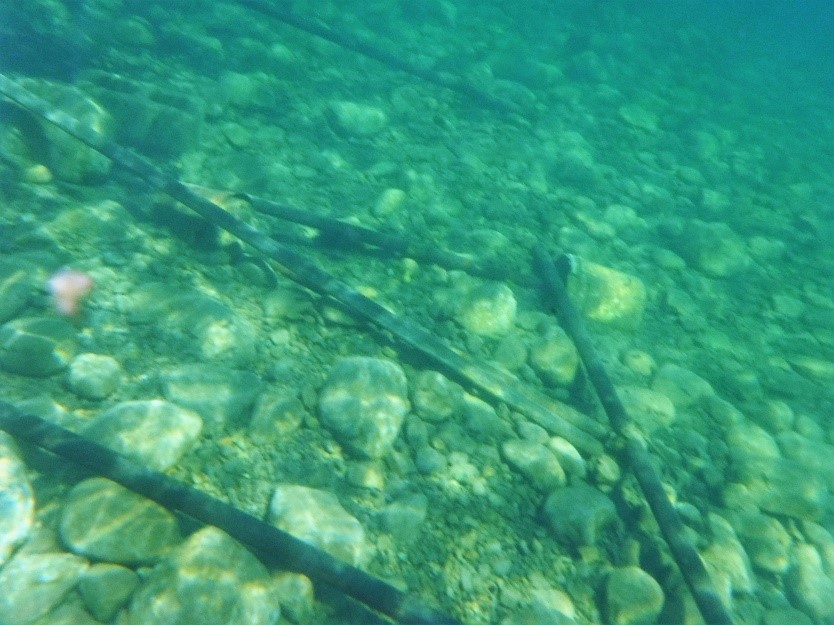 The water is wonderful!