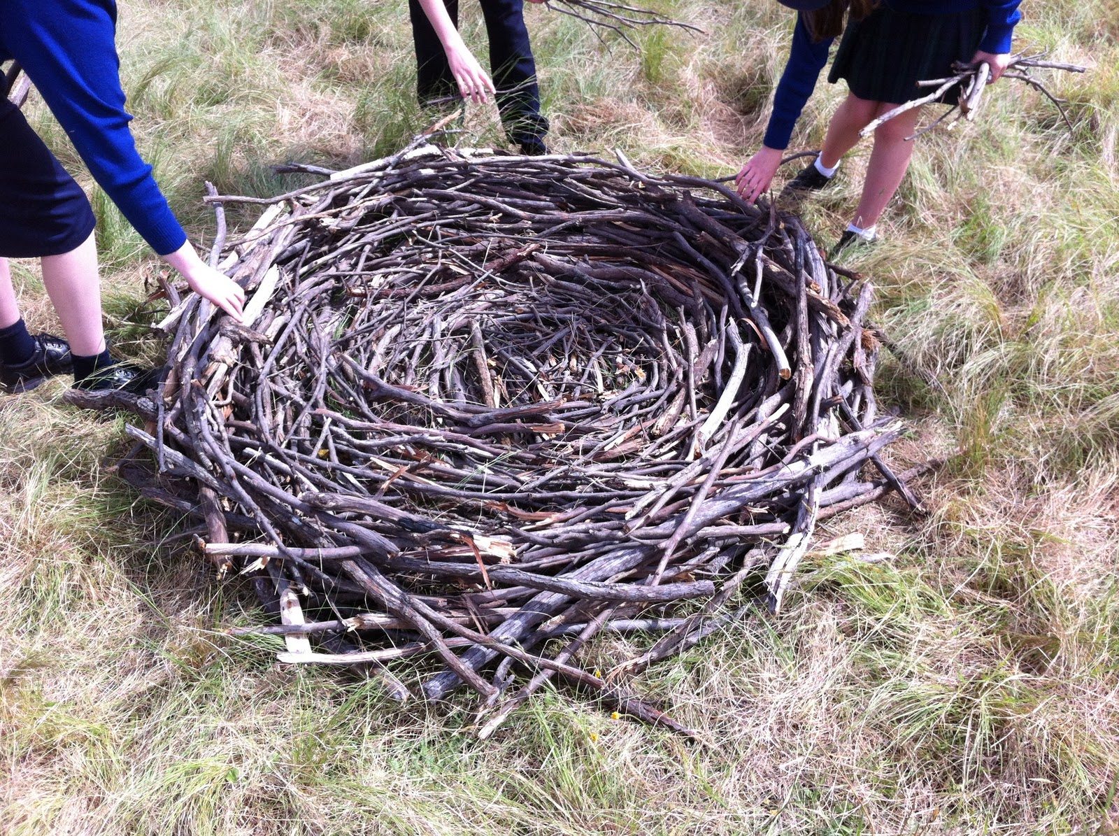 Mr Randall's classroom: Environmental Sculpture 'in progress' - 'Bird ...