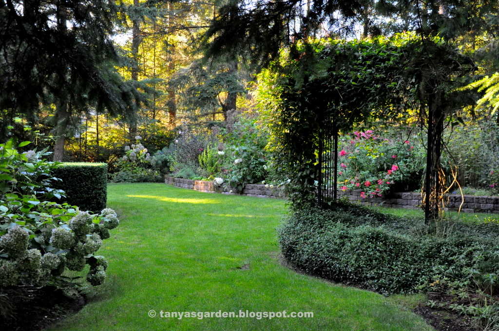 MySecretGarden: September Sun In My Garden