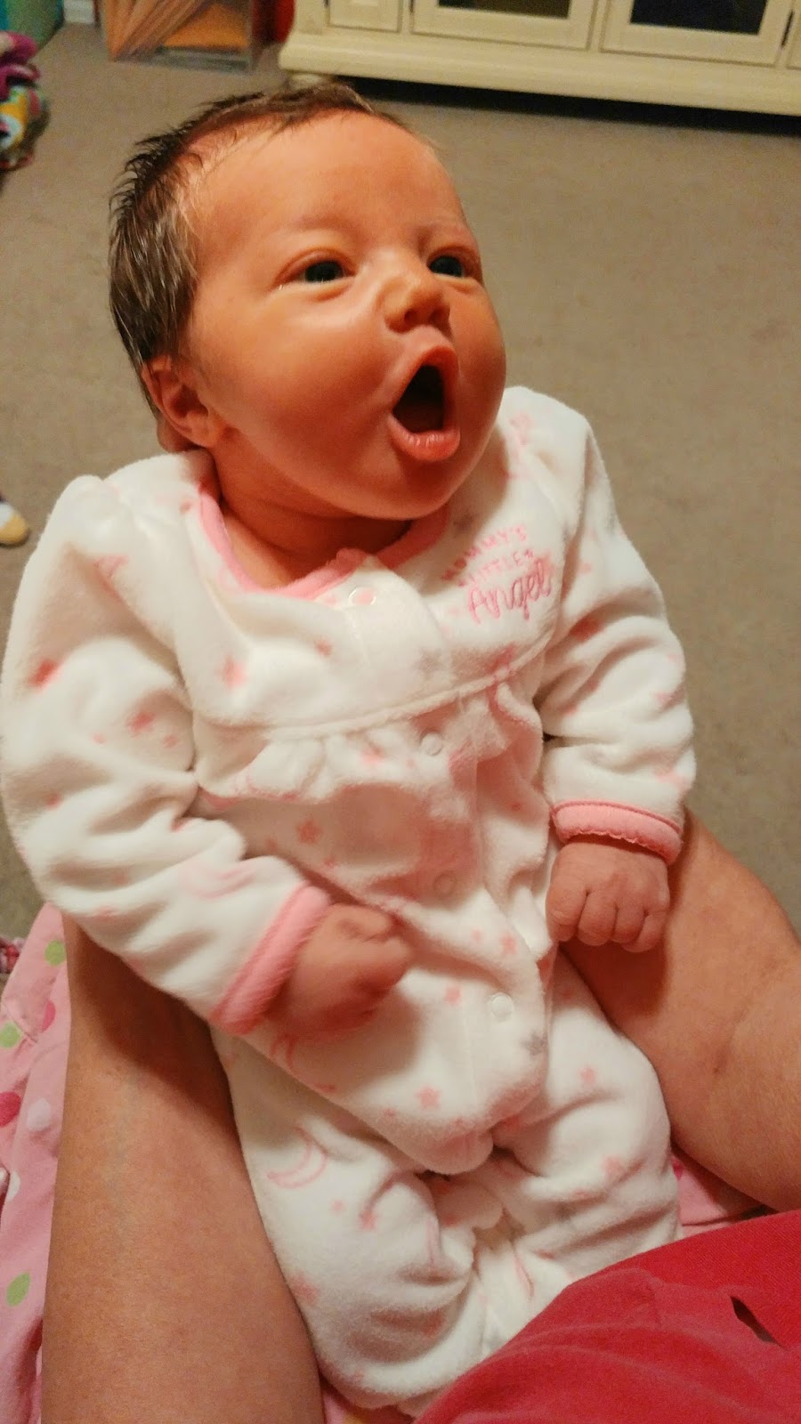 Higgy Baby, Andrew, Sparky, Dolly, Snuffy & Ronnie