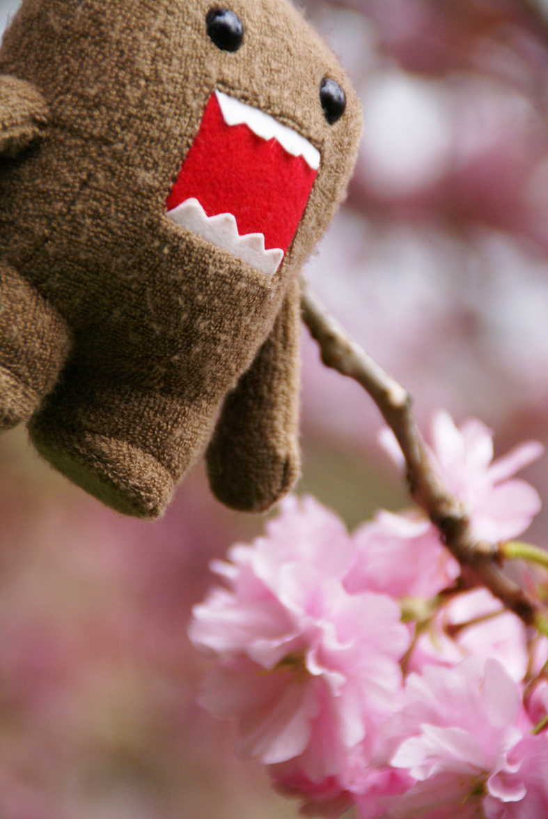 Under the Rain: Domo-kun, special thing for me ☺