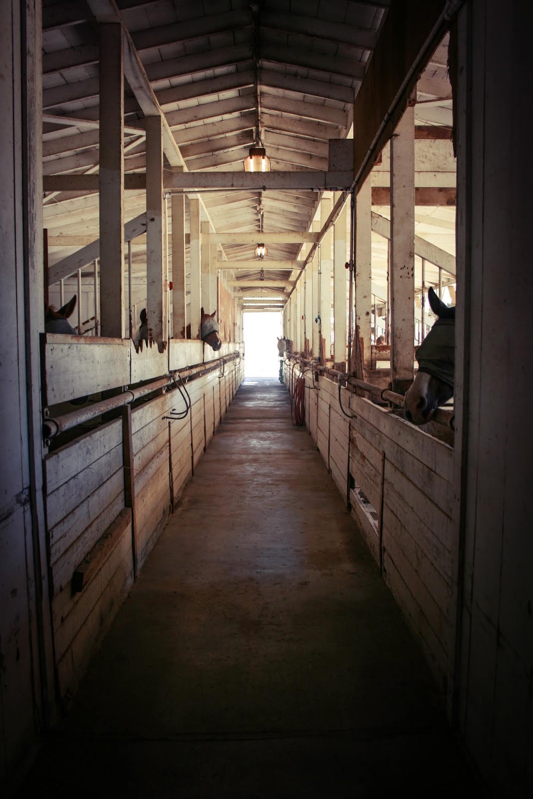 Traverse Photography.Christine Nicole: Stepp Stables, Camp Pendleton CA