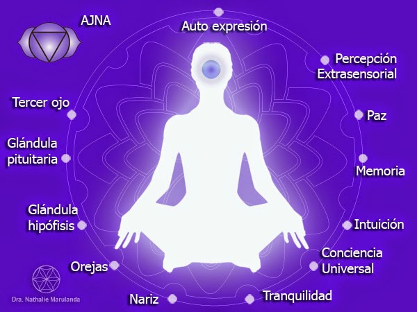 El sexto chakra: Ajna ~ La Flor de la Vida - Medicina Integrativa